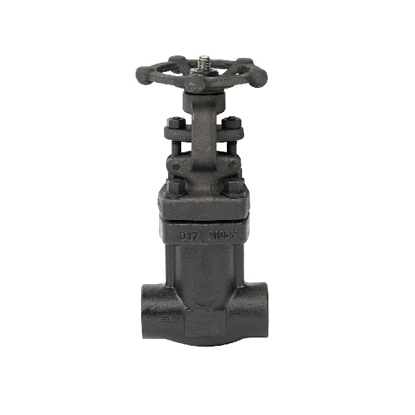 Forged steel NPT(S.W) Gate Valve, China Manufacturers, Suppliers, Price ...